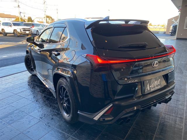 レクサス UX UX250h Fスポーツ TRDエアロ＆マフラー＆AW プロジェクションカーテシーイルミの中古車｜グーネット中古車