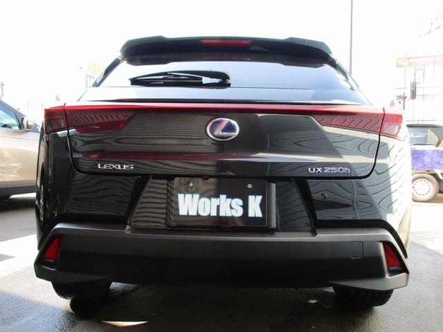 レクサス UX UX250h Fスポーツ 1オーナー 純正ナビの中古車｜グーネット中古車