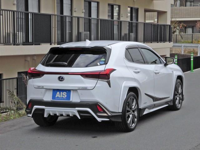 レクサス UX UX250h Fスポーツ TRDエアロ＆エアロフェンダー 純正ナビの中古車｜グーネット中古車