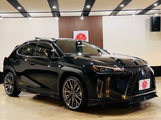 レクサス UX UX250h Fスポーツ TRDエアロ TRDスポーツマフラーの中古車｜グーネット中古車