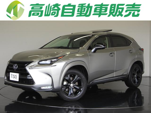 レクサスNX300h“バージョンL”（4WD/CVT）【試乗記】 ボディーもアシも力作 - webCG