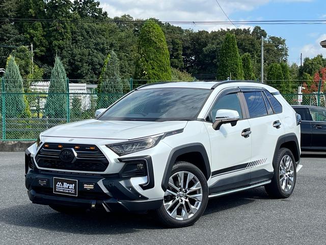 トヨタ RAV4 G Zパッケージ TRDパーツ KADDISグリル 純正9インチSDナビの中古車｜グーネット中古車