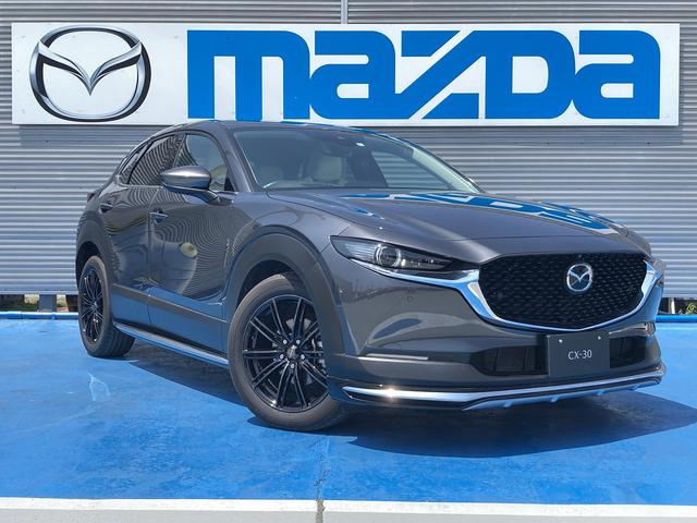 マツダ CX-30 20S L Package 4WDの価格・性能・装備・オプション（2019年10月24日発売） 価格.com