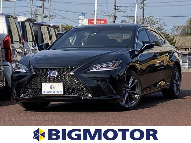 レクサスES300h“バージョンL”（FF/CVT）【試乗記】 驚きの二面性 - webCG