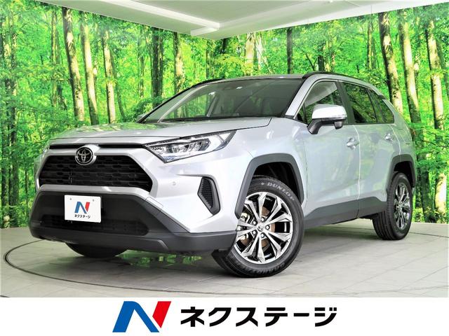 トヨタ RAV4 X 禁煙車 9型SDナビ トヨタセーフティセンス レーダークルーズコントロールの中古車｜グーネット中古車