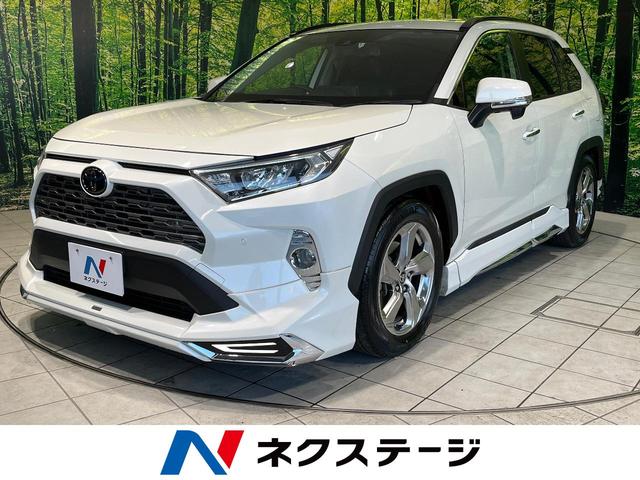 トヨタ RAV4 G 4WD モデリスタフルエアロ 衝突軽減 純正SDナビの中古車｜グーネット中古車