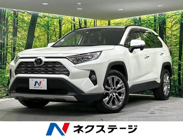 トヨタ RAV4 G Zパッケージ 純正SDナビ フルセグTVの中古車｜グーネット中古車