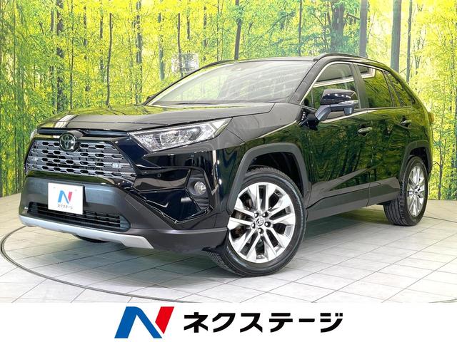 トヨタ RAV4 G Zパッケージ 9型ナビ 4WDの中古車｜グーネット中古車