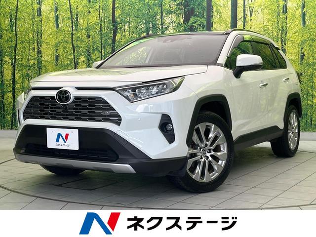 トヨタ RAV4 G Zパッケージ 4WD サンルーフの中古車｜グーネット中古車