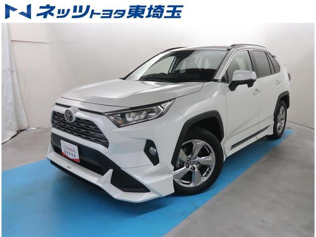 トヨタ RAV4 G 衝突被害軽減システム SDナビゲーション フルセグTV Bluetooth接続の中古車｜グーネット中古車