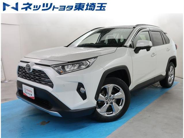 トヨタ RAV4 G 純正SDナビゲーション フルセグTV Bluetooth接続の中古車｜グーネット中古車